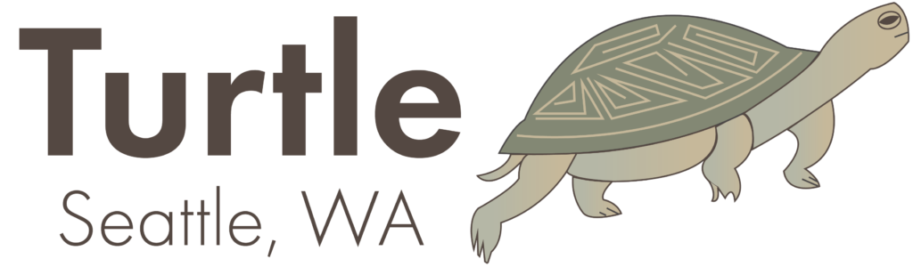 Turtle – Exploring the Salish Sea… Slowly